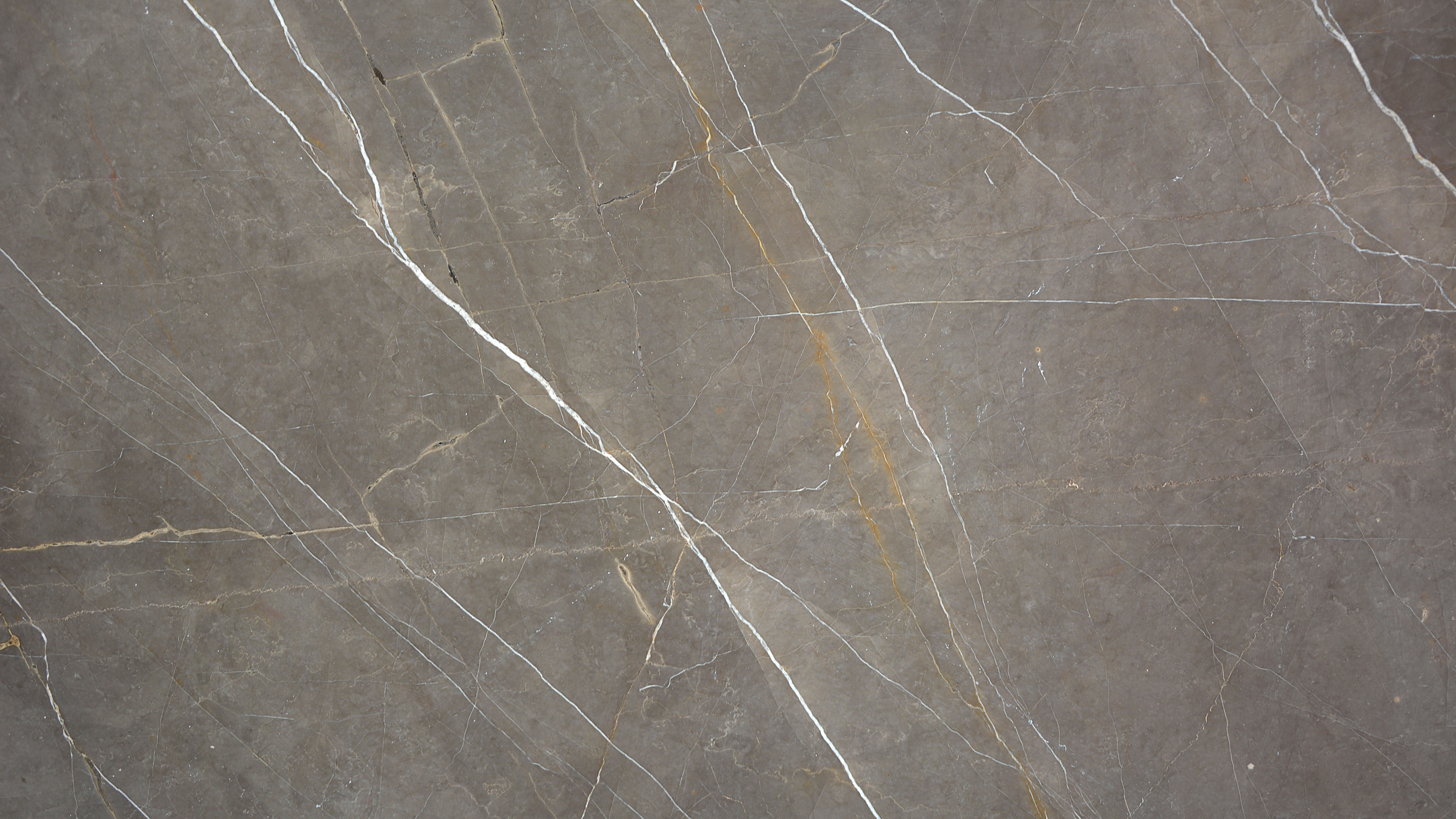 New York Stone | Gris Pulpis, Marble from Spain